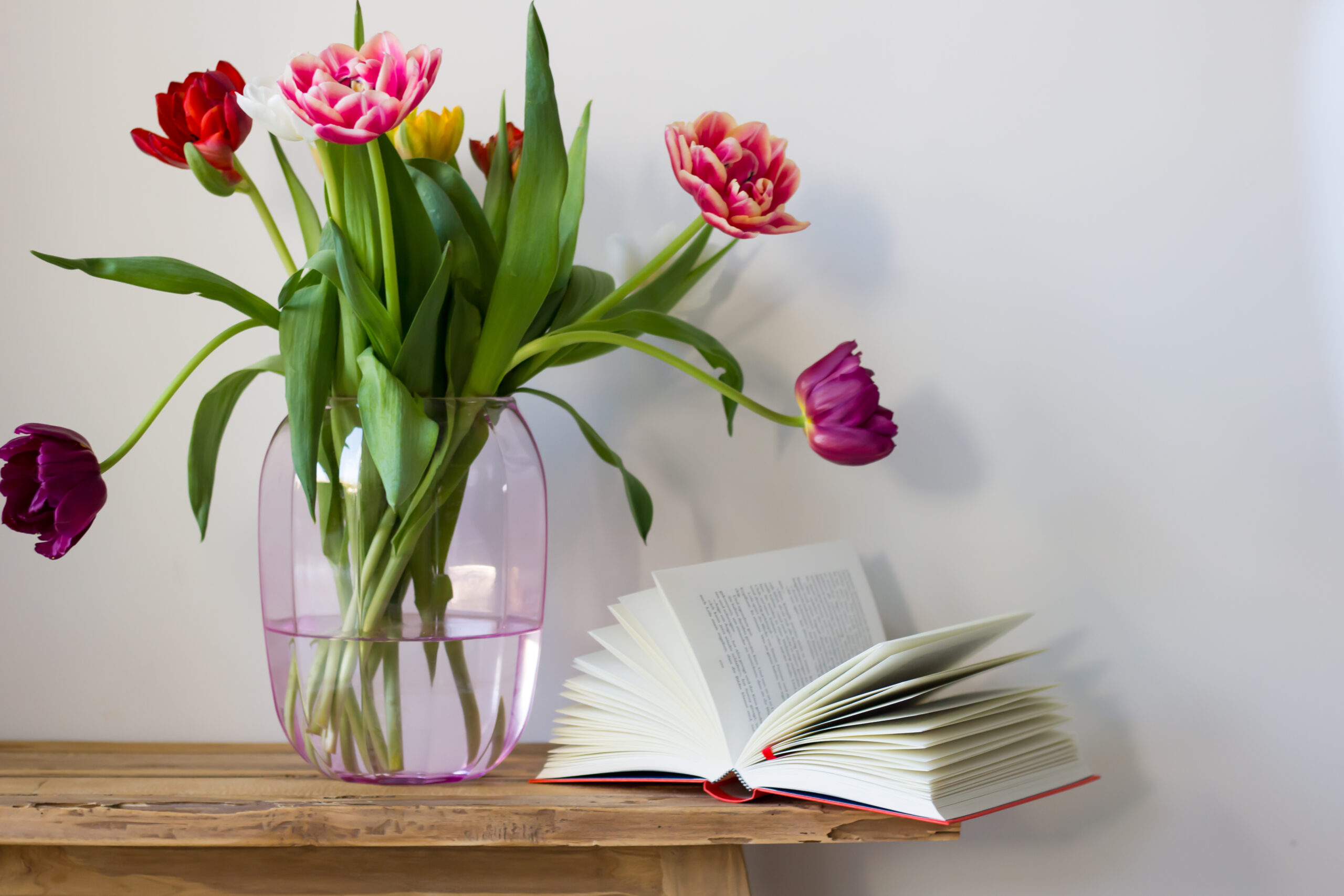 Mediakit & Kooperationen. - dieliebezudenbuechern.de